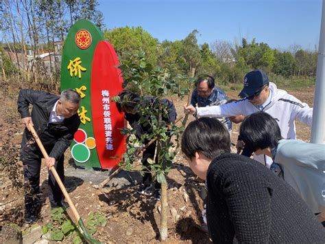 梅州市侨联开展齐心共植侨心林共建共享绿美梅州植树活动 广东省归国华侨联合会