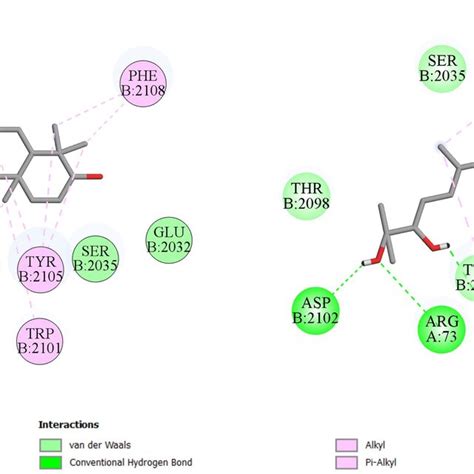 Binding Mode Of Mammalian Target Of Rapamycin Mtor With A