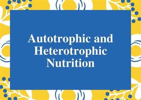 Distinguish Between Autotrophic And Heterotrophic Nutrition Nutrition Photosynthesis General