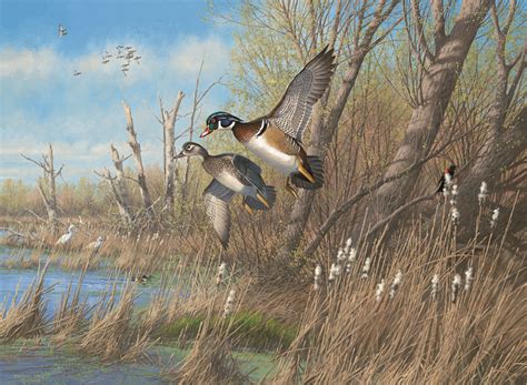 Sundays Best Wood Ducks Hunting Painting Waterfowl Art Art