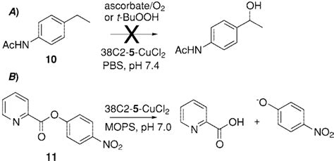 A Attempted Benzylic Oxidation Of Substrate 10 By 38c2 5 Cucl2 B