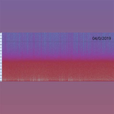 The Decametric Radio Astronomy Array In Saasst Detected Two Jupiter Io