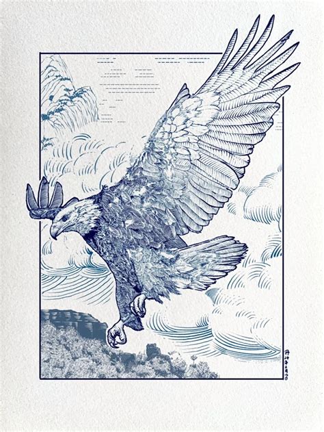 鹰击长空 钢笔画 小红书 花瓣网