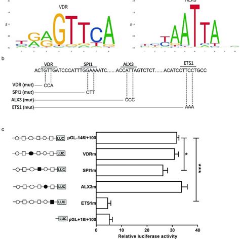Identification Of The Human Nlrp3 Gene Transcription Start Site Tss
