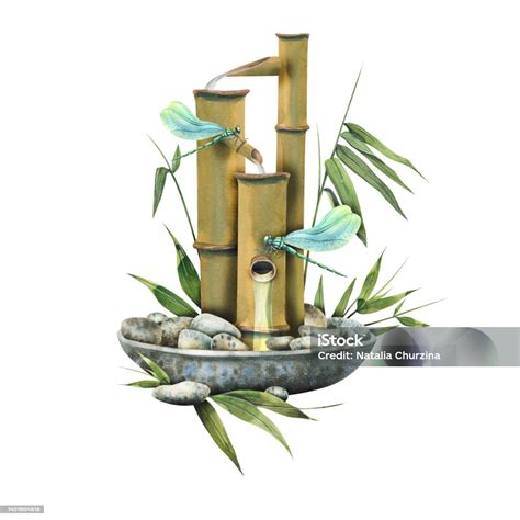 말린 대나무 줄기는 푸른 잠자리가있는 그릇에 물 나뭇잎 및 돌이있는 분수의 구성으로 줄기를 만듭니다 수채화 그림 엽서 포스터의 디자인과 장식을 위해 대나무 벼과에 대한 스톡