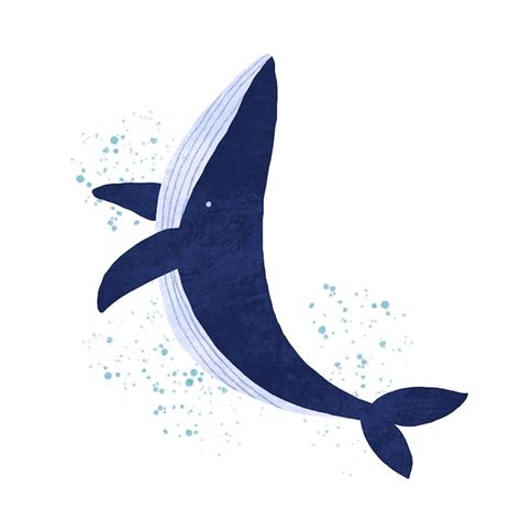 Premium Vector Whale Illustration
