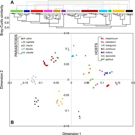 A Dendrogram Based On The Agglomerative Cluster Analysis BrayCurtis