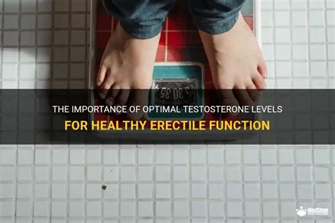 The Importance Of Optimal Testosterone Levels For Healthy Erectile