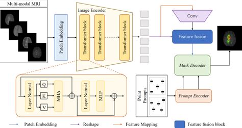 Figure 4 From Brain Tumor Mri Segmentation Method Based On Segment Anything Model Semantic Scholar