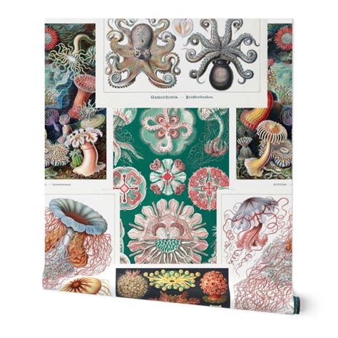 Vintage Sea Creature Classification Wallpaper Spoonflower