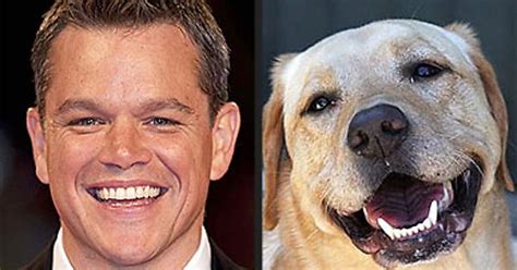 Dogs Who Look Like People Album On Imgur