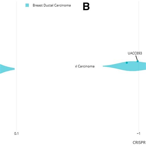 Depmap Analysis Of The Dependency Of Ductal Breast Cancer Cell Lines In Download Scientific