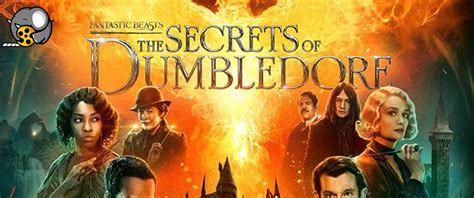 جانوران شگفت انگیز اسرار دامبلدور فیلو