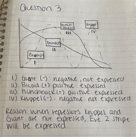 solved please check my answers for 2 and 3 and provide