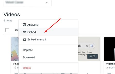 How To Hide Controls On Vimeo Embedded Video With Vimeo Logo Nst