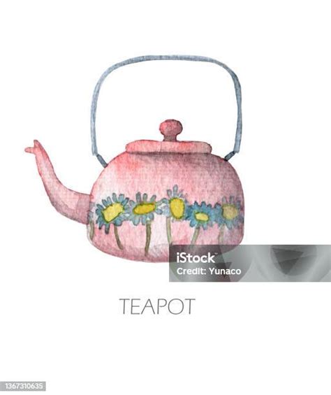 다양한 모양과 색상의 수채화 도자기와 세라믹 주전자의 수채화 이미지 0명에 대한 스톡 벡터 아트 및 기타 이미지 0명 개체 그룹 꽃 식물 Istock