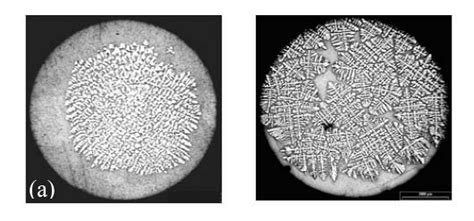 Solidification Microstructures Under Natural Convection A Cellular Download Scientific