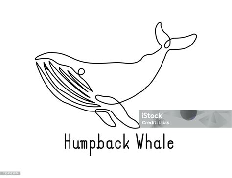 해양 회사 로고 정체성에 대한 혹등고래의 단일 연속 라인 드로잉 개념에 대한 스톡 벡터 아트 및 기타 이미지 개념 개념과 주제 고래 Istock