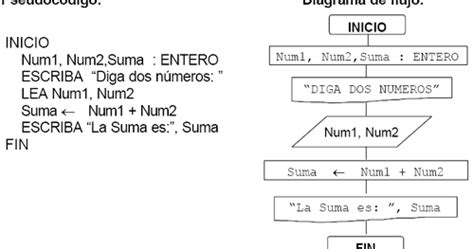 INTRODUCCION AL ALGORITMO PROGRAMACION PSEUDOCÓDIGO
