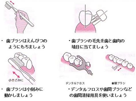 正しい歯磨きの仕方は？ お悩みqanda 医療法人悠悠会 いそクリニック歯科
