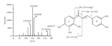 Uplc Ms² Q Tof Spectra And The Proposed Fragmentation Pathways Of