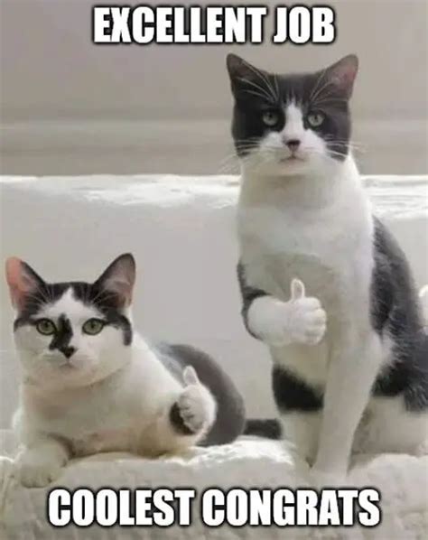 60 Congratulations Memes To Give Them A Thumbs Up 2025