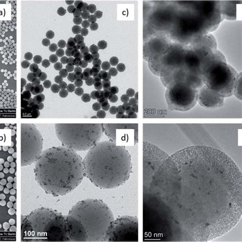 SEM And TEM Micrographs Of The Different Structures A SiO B Download Scientific