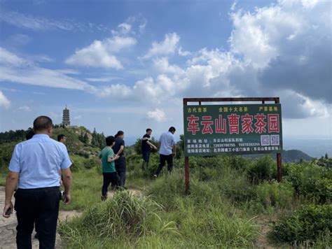 杨永岗院长应邀考察信阳市浉河区茶产业