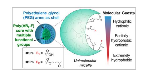 Supramolecular Loading Of A Broad Spectrum Of Molecular Guests In
