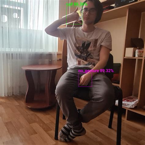 Yolox Onnx Runtime Inference Demo Files Kaggle