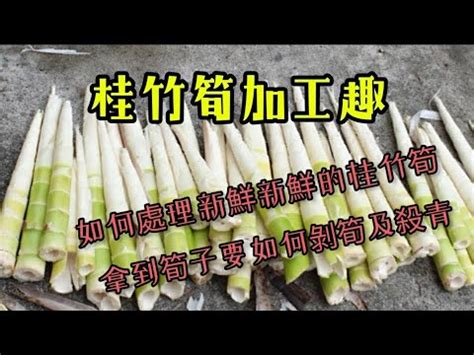 Taiwan
