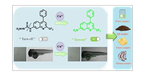 A Novel Fluorescent Chemodosimeter For Discriminative Detection Of Cu2