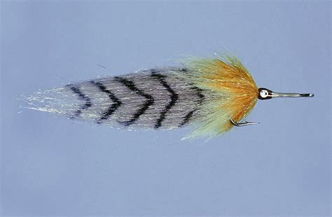 Pinocchio Tarpon Cockroach Fly Fishing Flies With Fish4flies Worldwide