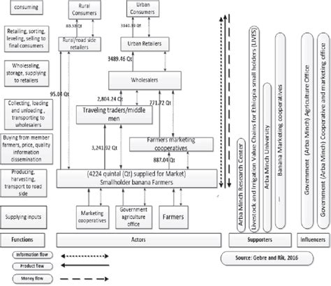 Banana Value Chain Map In Arba Minch Download Scientific Diagram