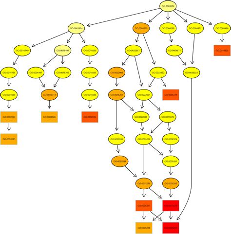 Primer To Analysis Of Genomic Data Using R