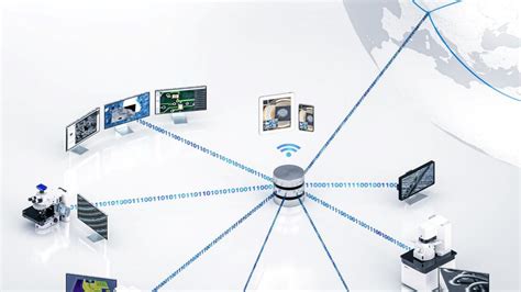 Image Processing Solutions With Zen Core Zeiss