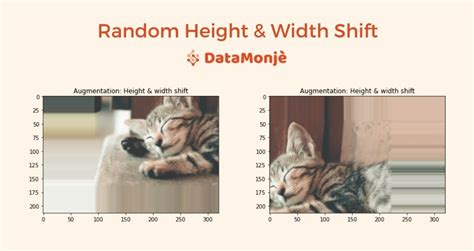 Guide To Image Augmentation From Beginners To Advanced Datamonje