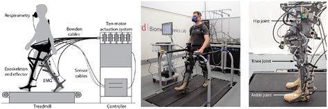 Comparing Optimized Exoskeleton Assistance Of The Hip Knee And Ankle In Single And Multi Joint