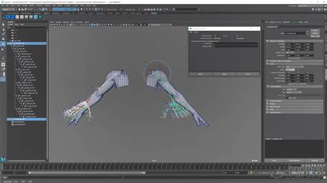 Master Rigging And Python Scripting In Maya Maya Python语言绑定教程 Verycg教程