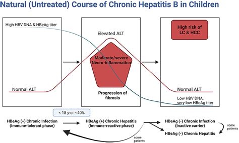 Hep B Titer Near Me Outlet