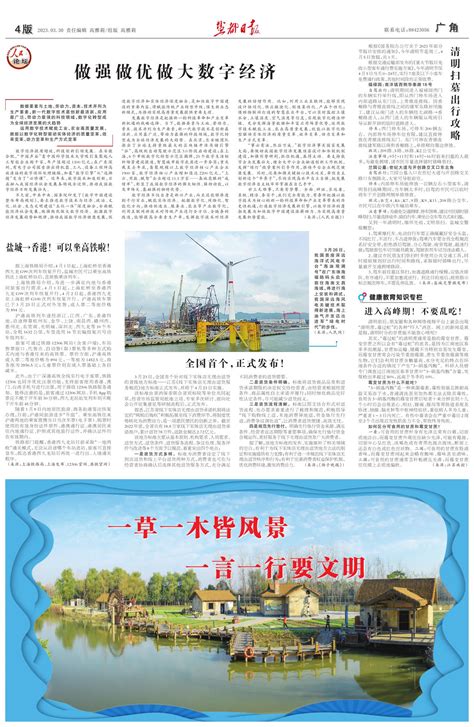 做强做优做大数字经济 盐都日报