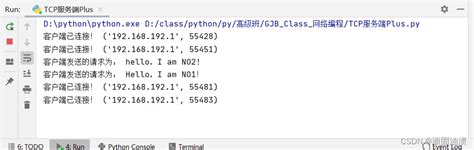 Python Tpc服务端程序开发python服务端开发 Csdn博客