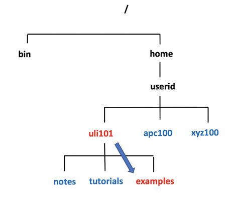 Tutorial 2 Advanced File Management And Quoting Special Characters