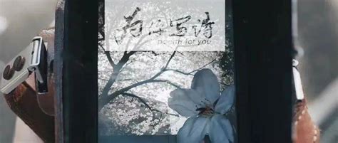 人生初见，春和景明。诗歌苏澈星辰
