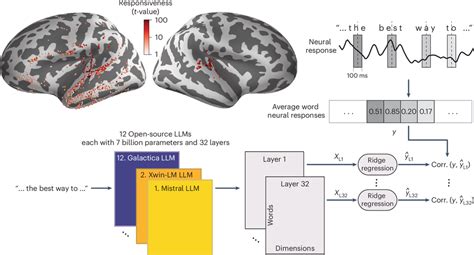 Contextual Feature Extraction Hierarchies Converge In Large Language Models And The Brain Bohrium
