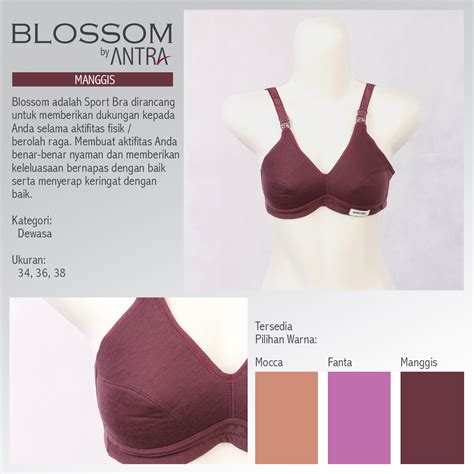 Jual Grosir Bra Murah Nabiilah Store