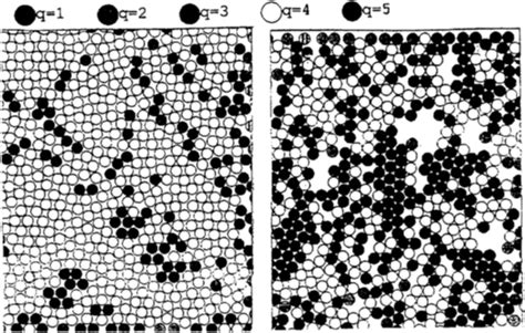results of modeling of a random packing of disks 60 x 60 working