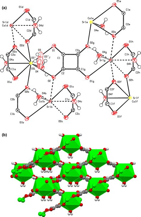 A Crystal Structure Of Complex 2 With Atom Labelling Scheme Thermal