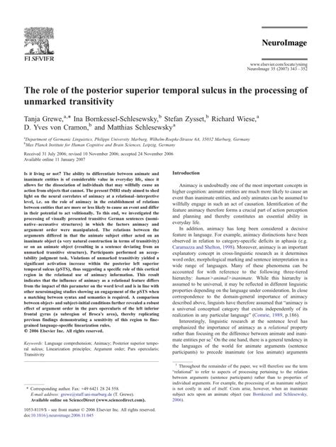 Pdf The Role Of The Posterior Superior Temporal Sulcus In The Processing Of Unmarked Transitivity