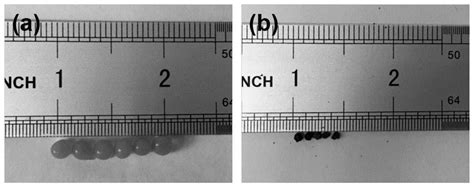 一种核壳结构双金属共价键合三维石墨烯宏观体及其制备方法与流程